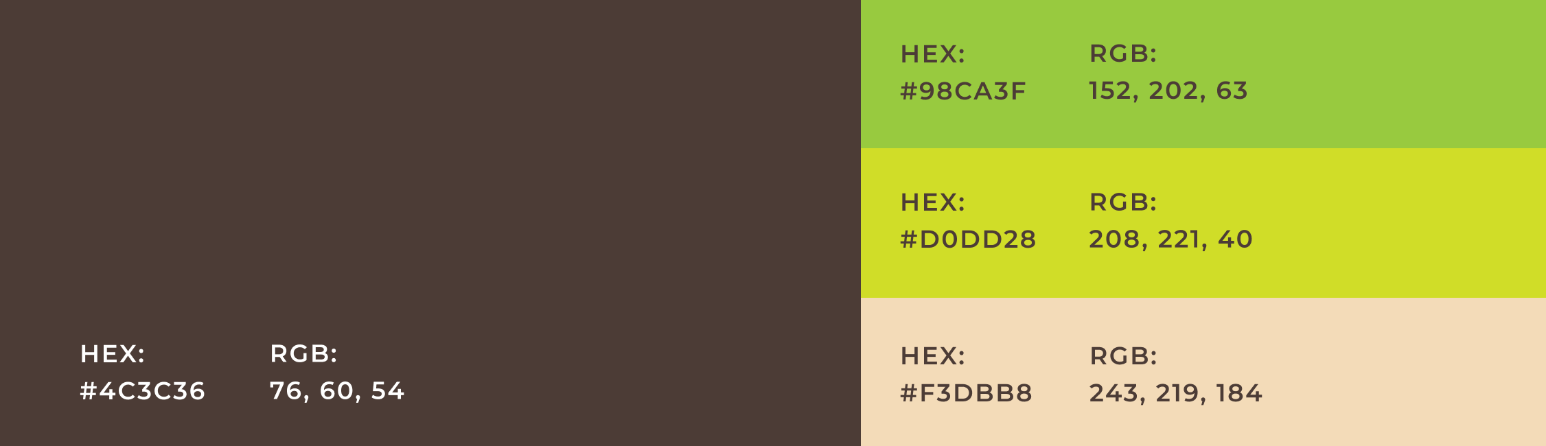 Reboot Bag - Case Study - Metro Nova Creative