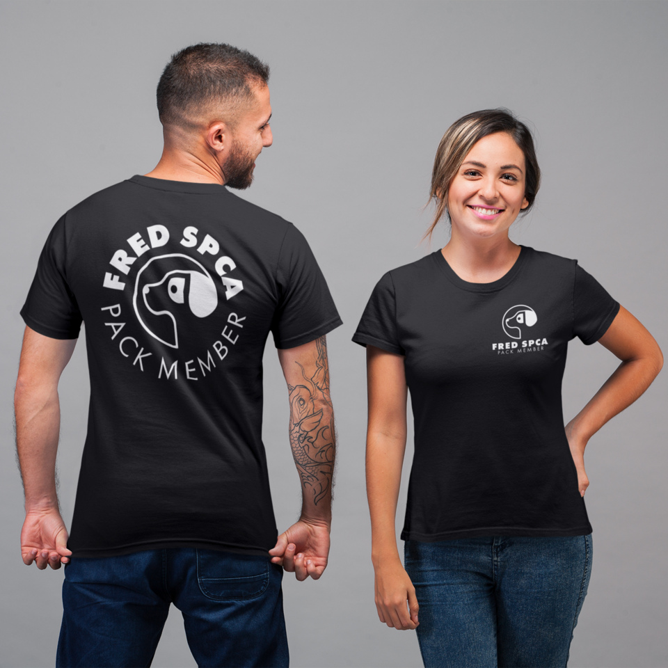 Website Design, Logo and Branding Work - Metro Nova Creative